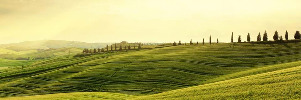 gpl Solutions - building wealth & lifestyle together