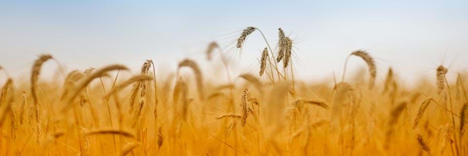 gpl Solutions - building wealth & lifestyle together